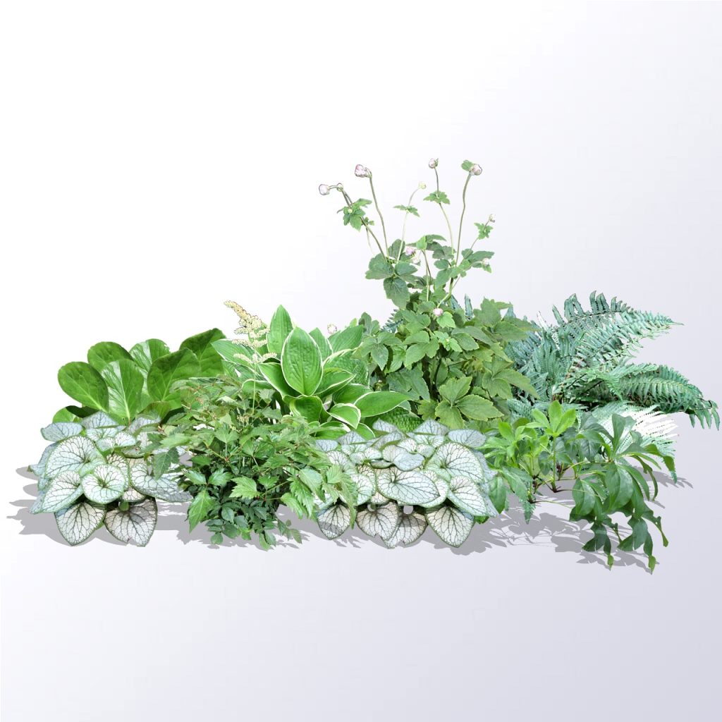 Rabaty kwiatowe: projekty i kompozycje roślin kwitnących