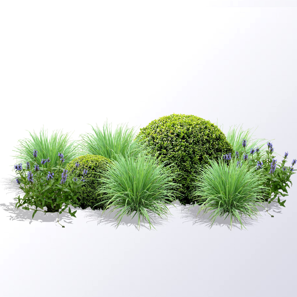 Rabaty kwiatowe: projekty i kompozycje roślin kwitnących