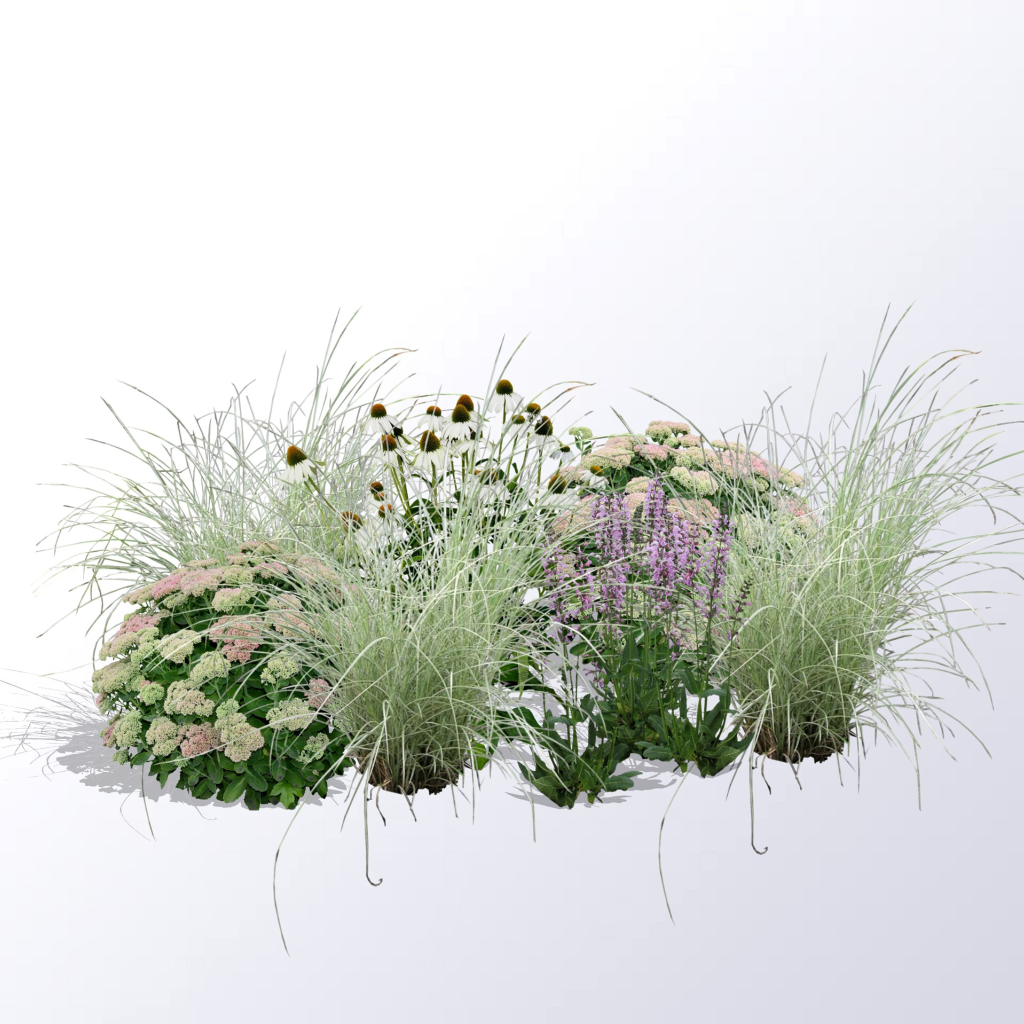 Rabaty ogrodowe i projekty ogrodów | OgrodoweRabaty.pl