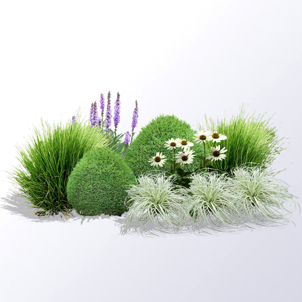 Rabaty kwiatowe: projekty i kompozycje roślin kwitnących